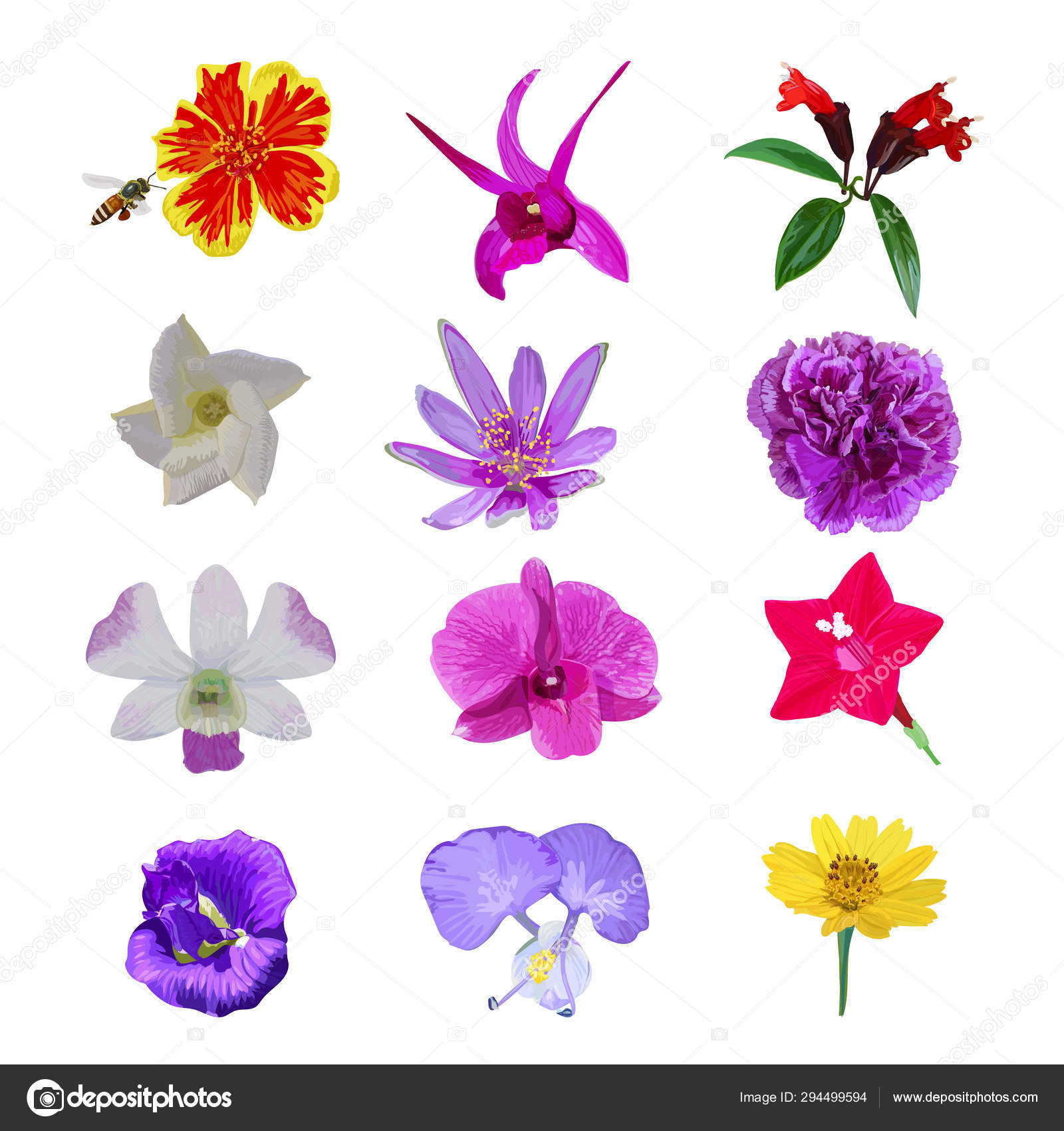 Colorful realistic flower isolated collection set on white backg Stock ...