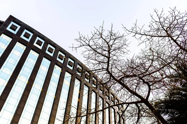 Modern office building warm tones at sunset, business concept. - Stock ...