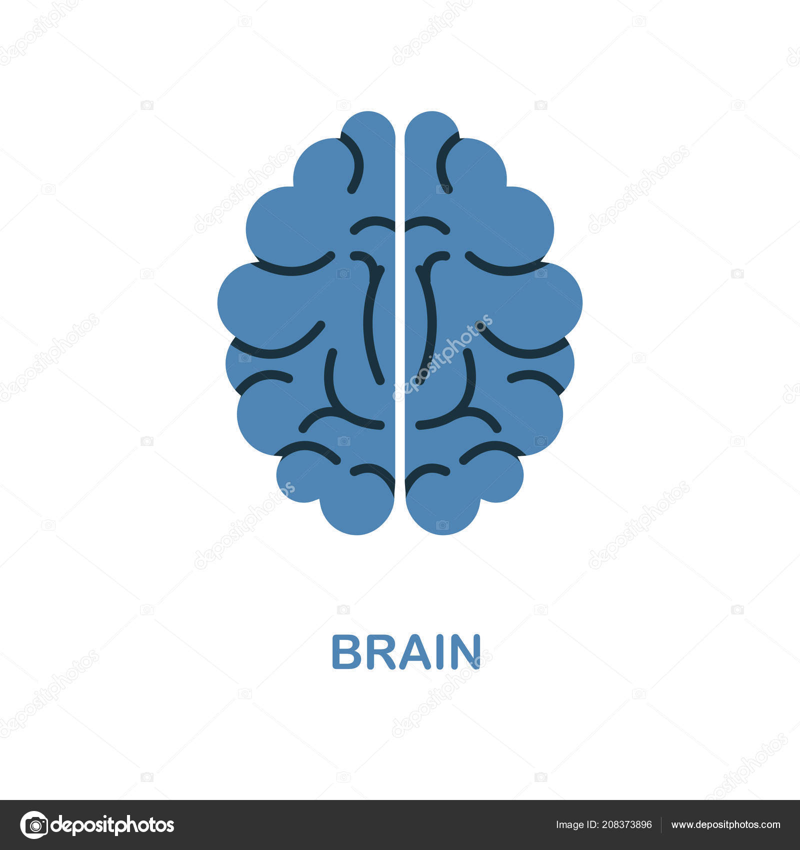 Simple Brain Icon