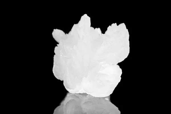 White brain gypsum Stock Photos, Royalty Free White brain gypsum Images ...