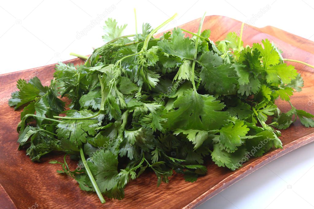 Cilantro verde fresco, hojas de cilantro sobre tabla de madera. 2024