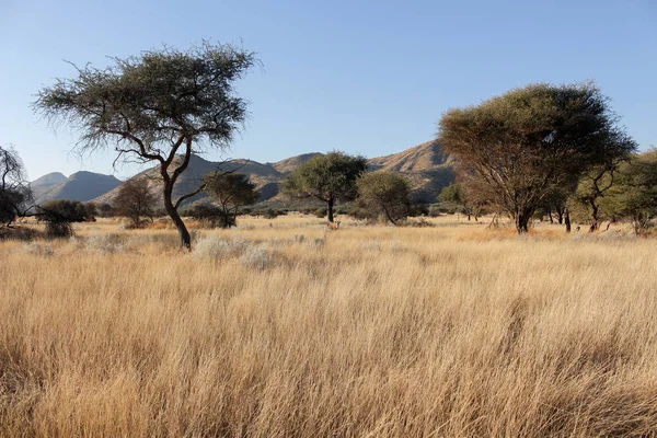 Musina nature reserve Stock Photos, Royalty Free Musina nature reserve ...
