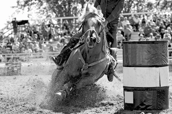 Course de barils images libres de droit, photos de Course de barils ...