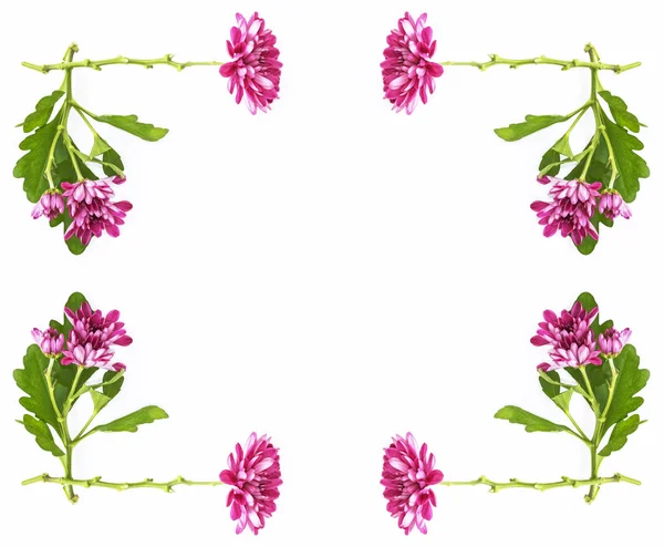 Hanging flower border Stock Photos, Royalty Free Hanging flower border ...