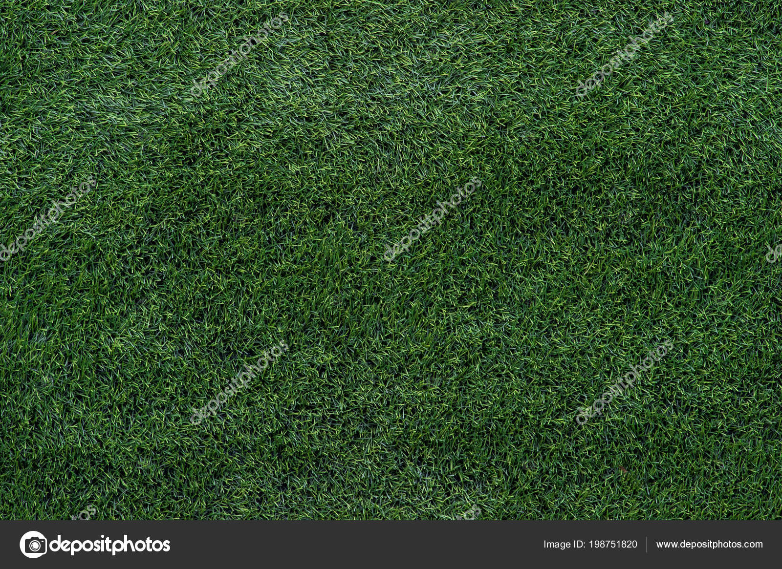 Green Grass Turf Floor Texture Background Stock Photo by ...
