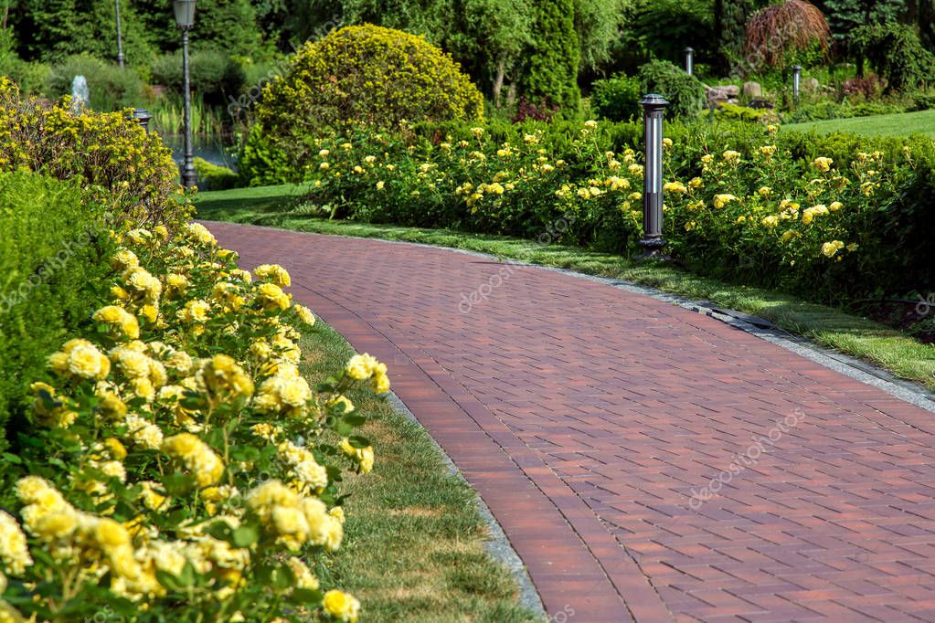 acera peatonal en el jardín con césped verde y arbustos de rosas con ...