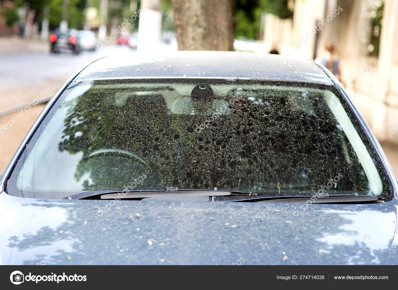Car Front Windshield