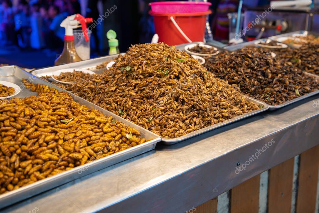 Los insectos fritos de la calle de comida asiática. Gusano de bambú ...