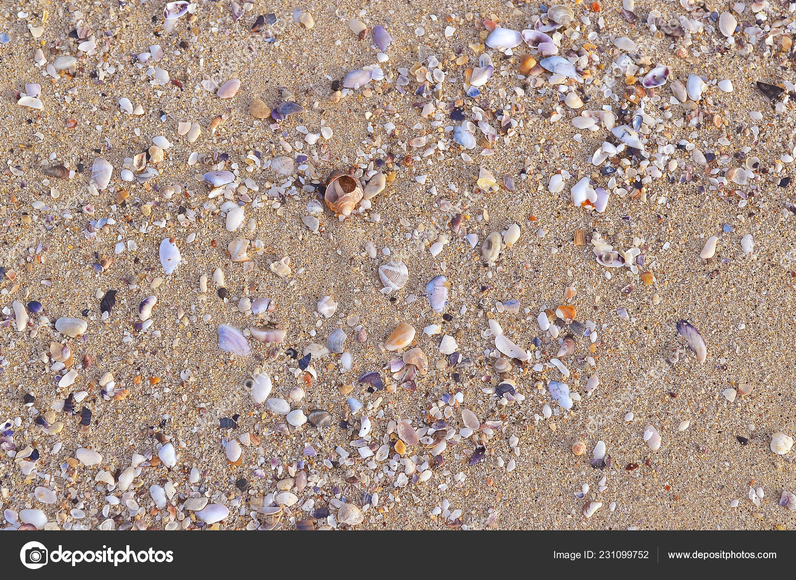 Surface Yellow Sea Sand Lot Colorful Little Seashells Sea Sand — Stock ...