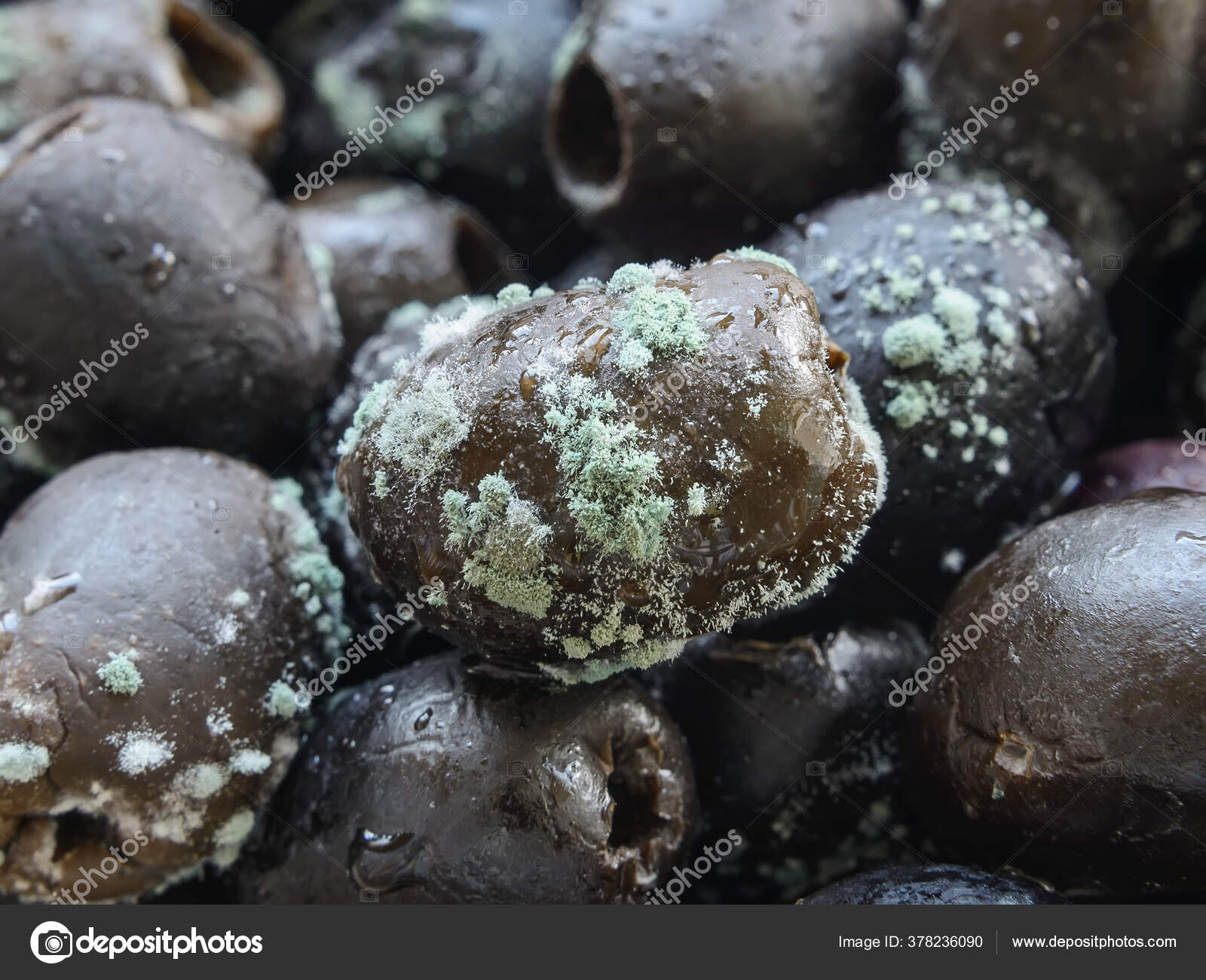 Improper Food Sanitation