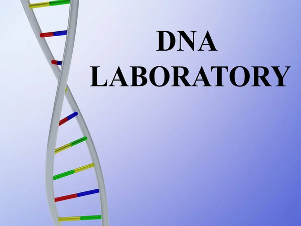Dna laboratory Stock Photos, Royalty Free Dna laboratory Images ...