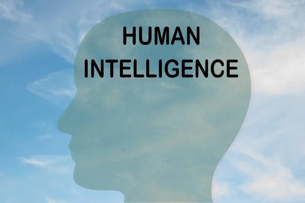 Human intelligence Stock Photos, Royalty Free Human intelligence Images ...