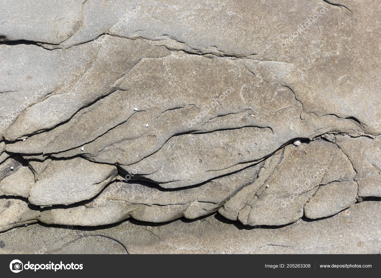 Rippled Rock Texture Beach Side Next Water Out Reach Stock Photo by ...