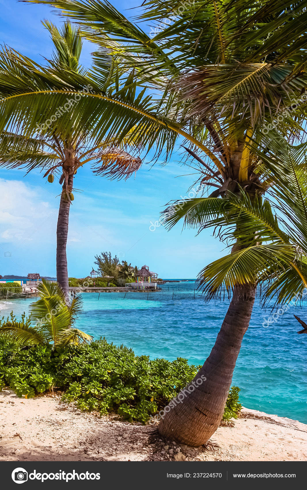 Tropical Island Bahamas View Beach Palm Tree Vacation Destination Stock ...