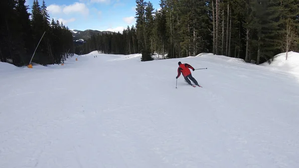 Alpine skiing, sliding down from snow-covered hills - Stock Image ...