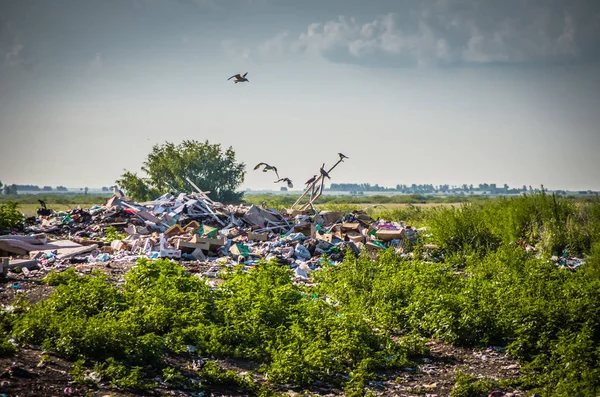 Warningsign Stock Photos, Royalty Free Warningsign Images | Depositphotos®