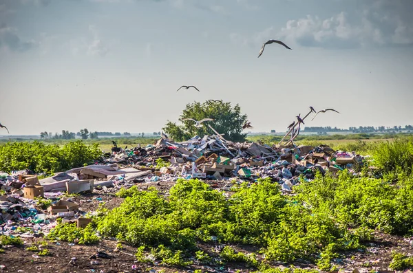 Warningsign Stock Photos, Royalty Free Warningsign Images | Depositphotos®