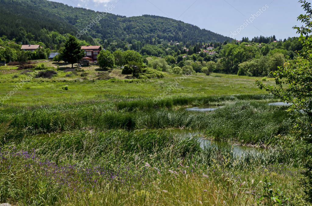 Bosque verde de primavera, claro, junco o junco y casa en un lago de ...