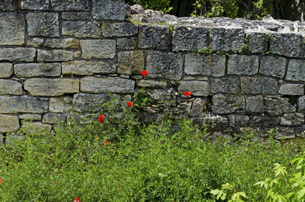 Complejo Arqueológico Abritus con la conservación primaria de parte de ...