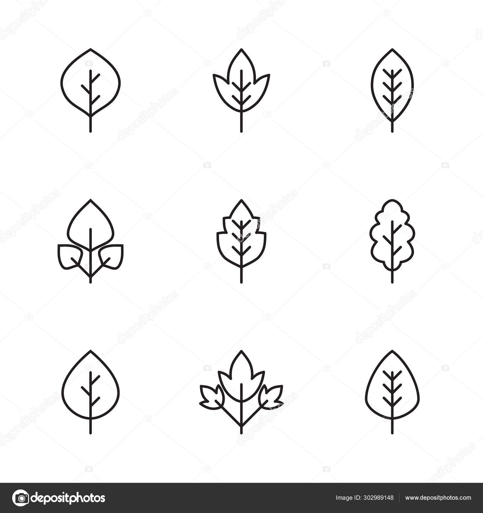 Set simple leaf icons Stock Vector by ©sumkinn 302989148