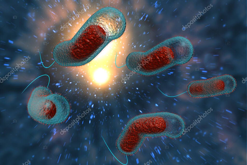 Ilustración en 3D de la infección microscópica por bacterias del cólera ...