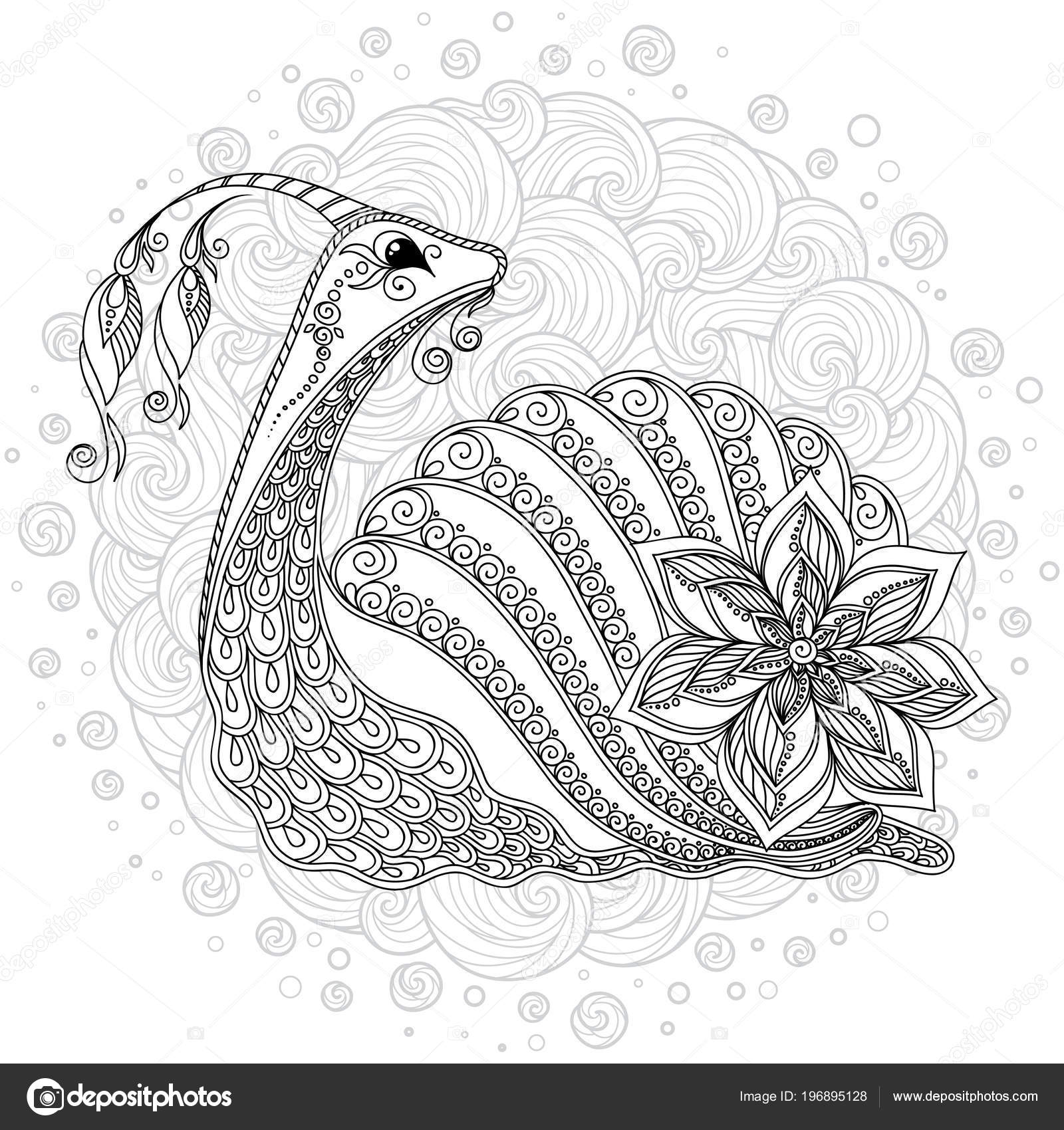 Zentangle Stylized Cartoon Snail Isolated White Background Sketch Adult ...