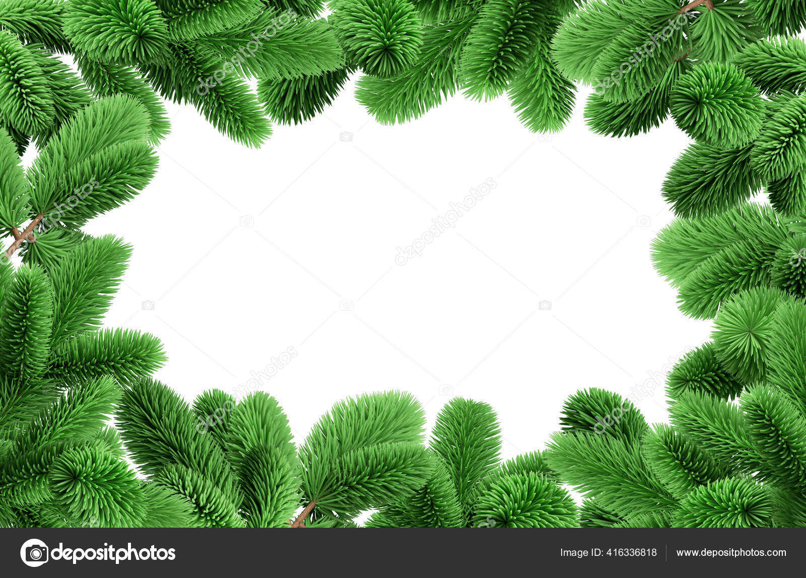 Render White Background Spruce Frame Evergreen Coniferous Branches ...