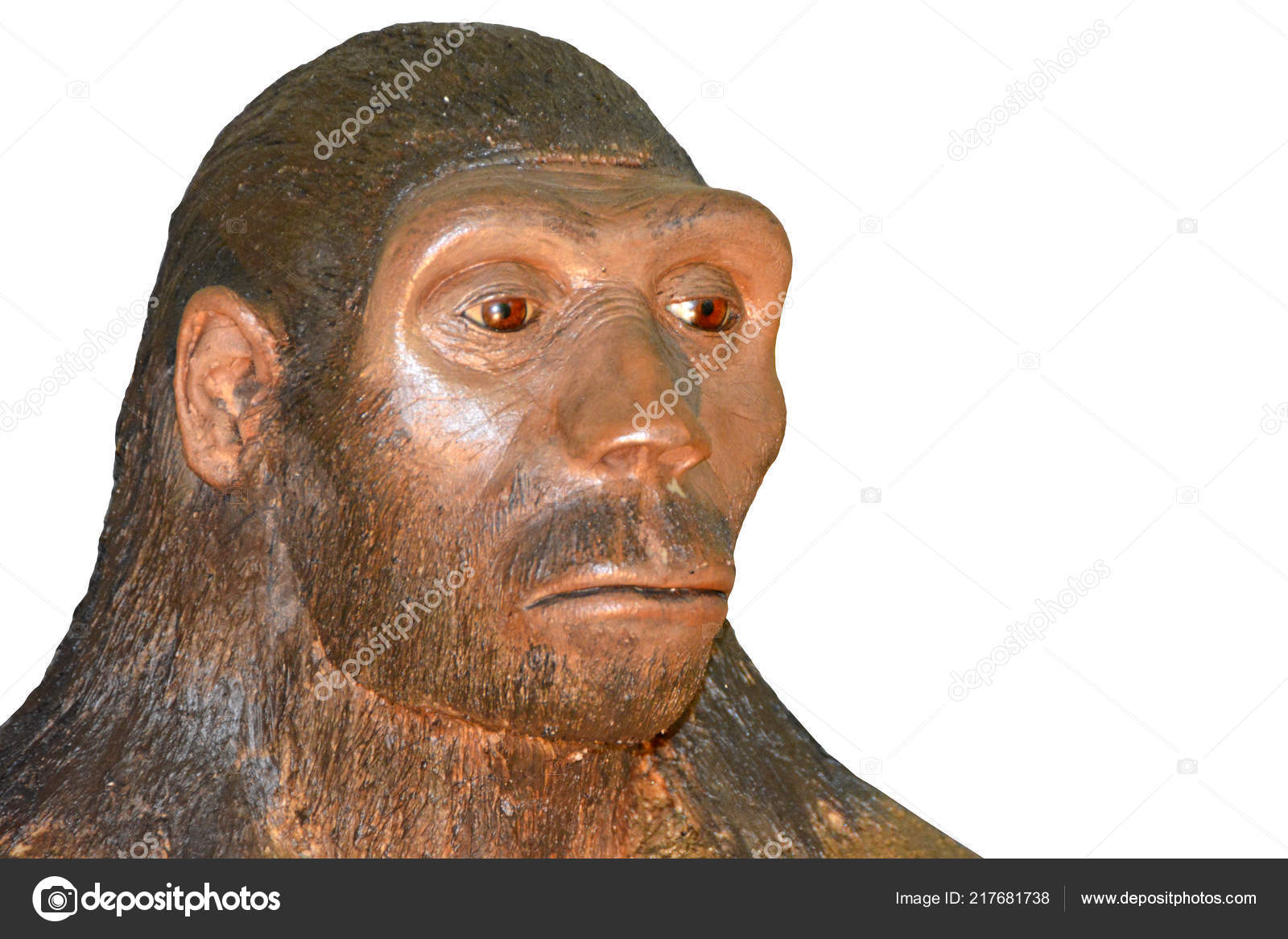 Homo Habilis Time Period