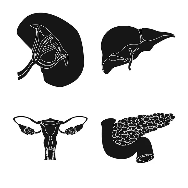 3,178 Endocrine Vector Images | Depositphotos