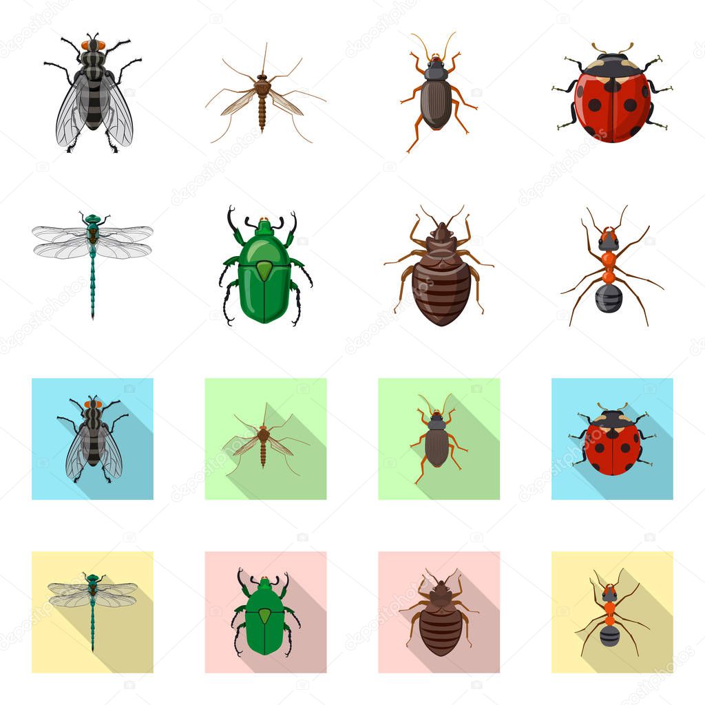 Objeto aislado de insecto y signo de mosca. Colección de insectos y ...