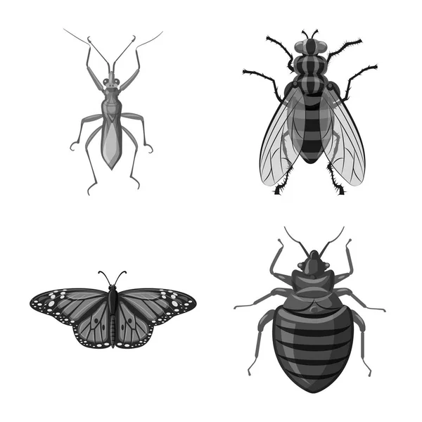 Fauna de insectos imágenes de stock de arte vectorial | Depositphotos