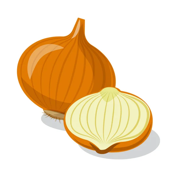 Symbol cebuli Vector Art Stock Images | Depositphotos