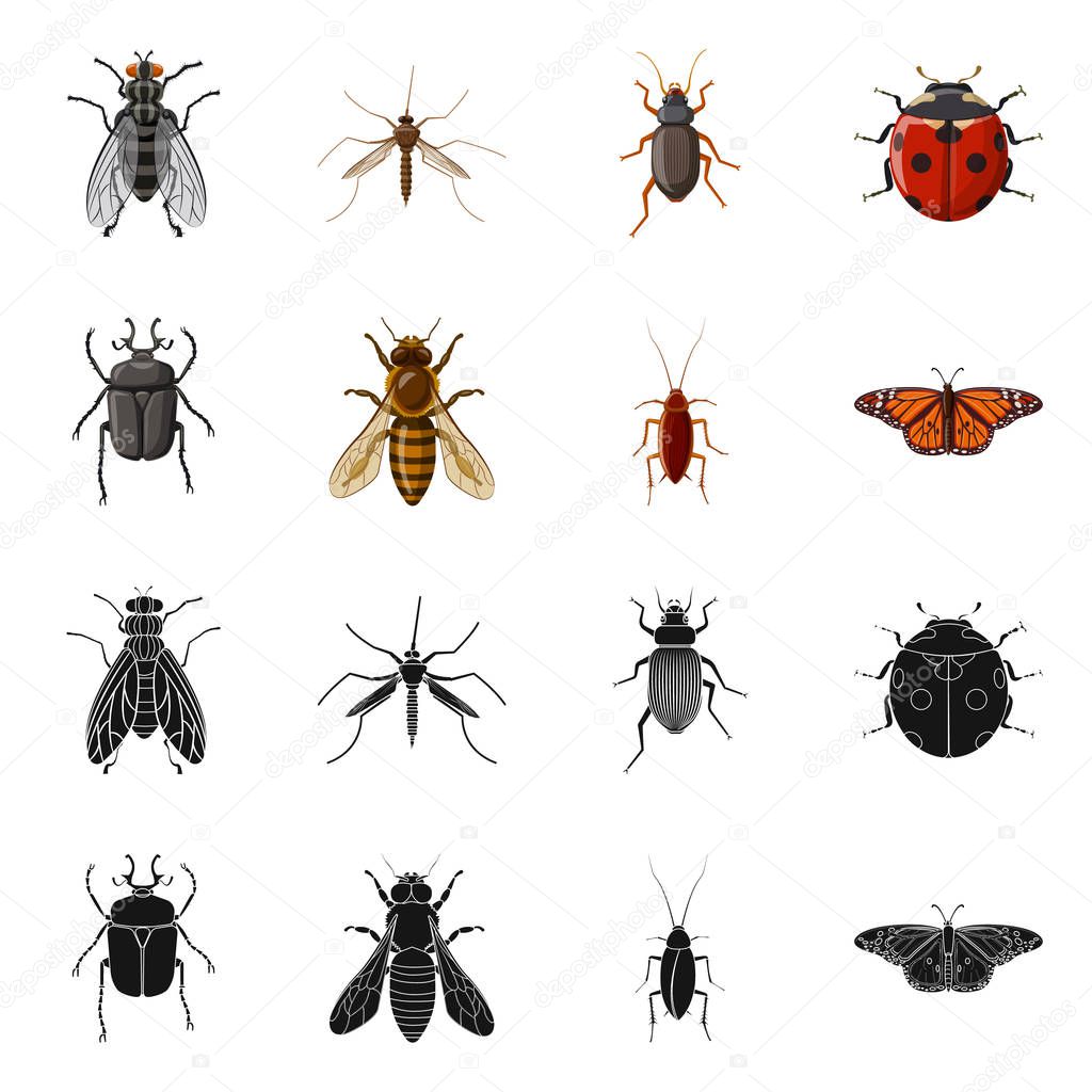 Objeto aislado de insecto y mosca símbolo. Colección de insectos y ...