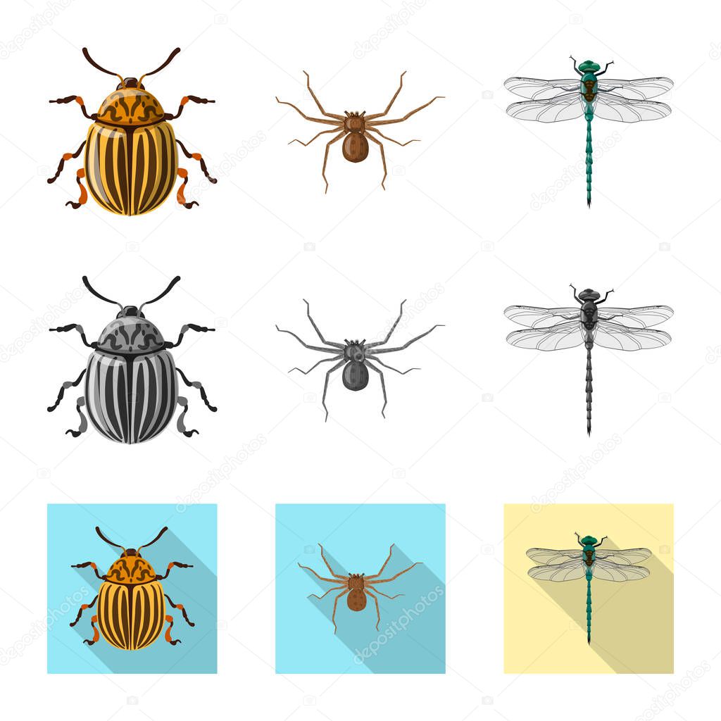Objeto aislado de insecto y signo de mosca. Colección de insectos y ...