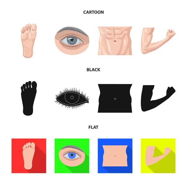 Cartoon body parts ภาพเวกเตอร์สต็อก Cartoon body parts ภาพประกอบที่ปลอด ...