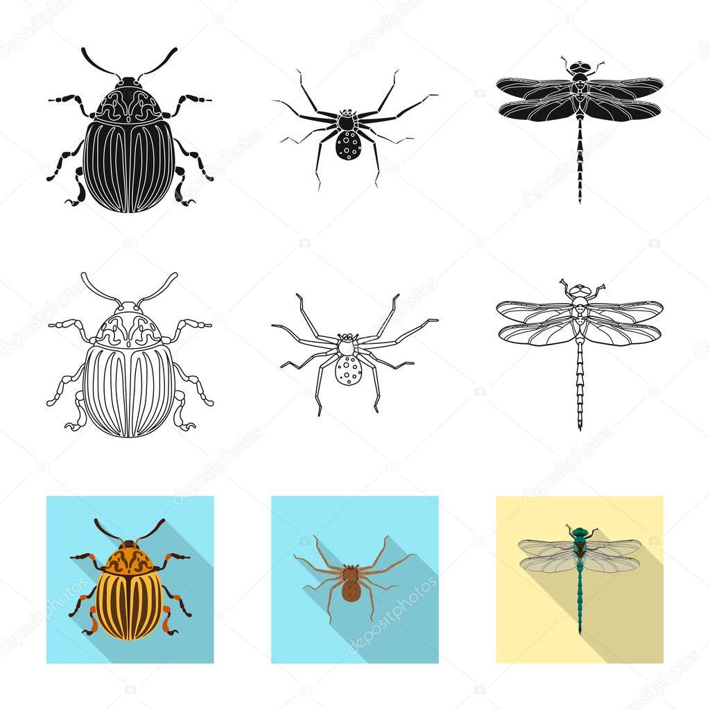 Objeto aislado del logotipo de insectos y moscas. Colección de insectos ...