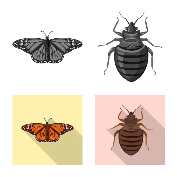 Updated version of vector insects - bugs and invertebrates — Stock ...