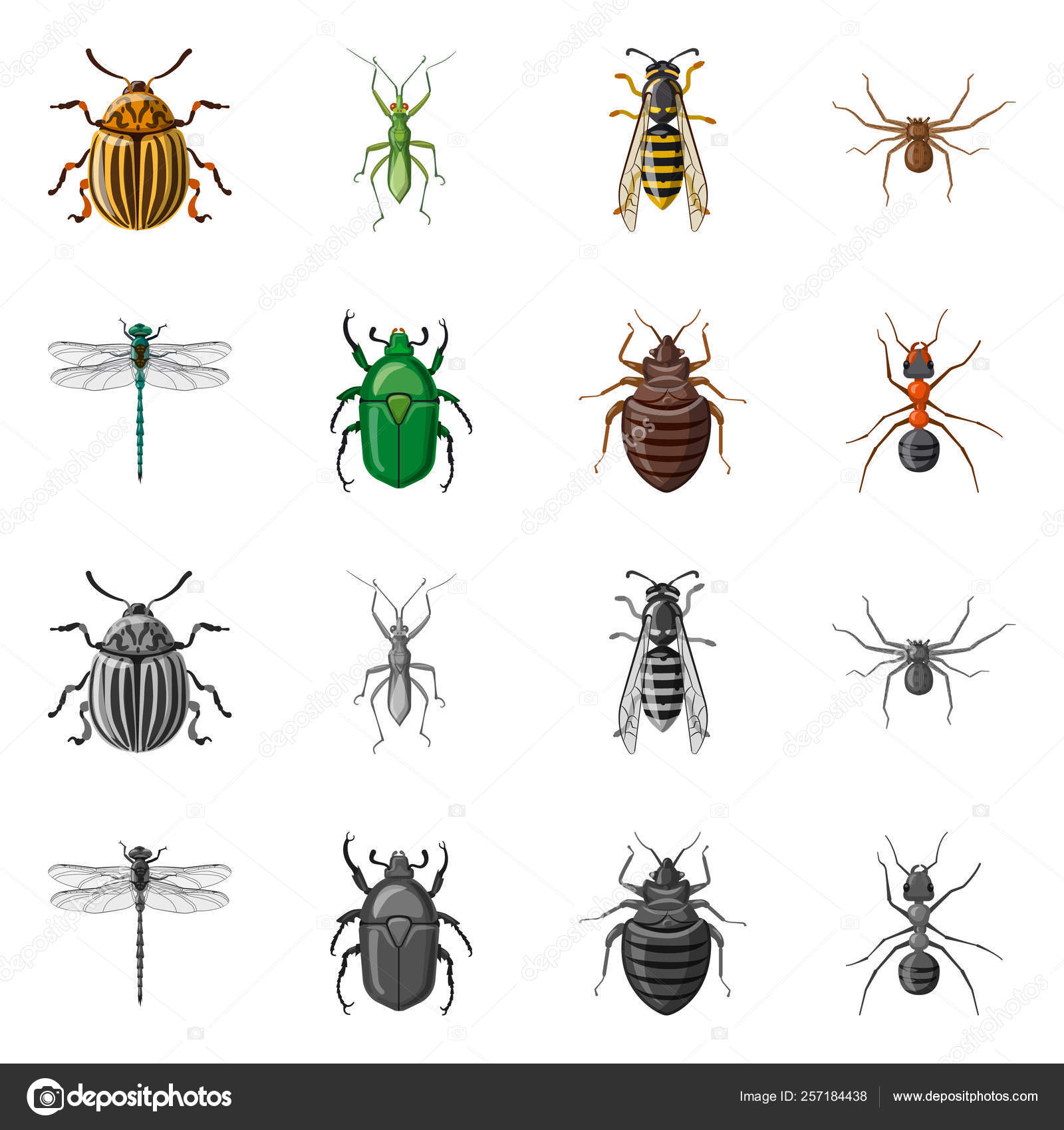 Diseño vectorial del icono de insectos y moscas. Colección de insectos ...