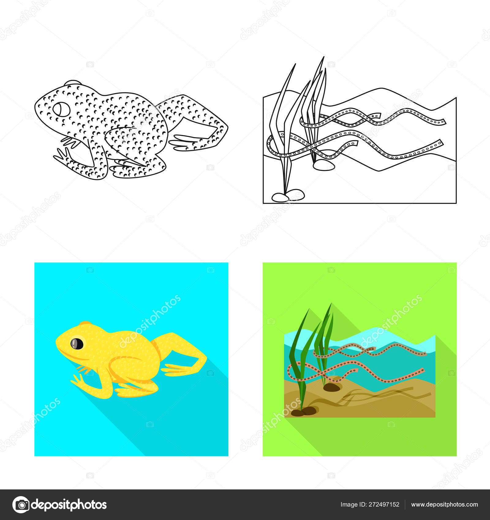 Isolated Object Of Wildlife And Bog Logo Set Of Wildlife And Reptile Stock Symbol For Web
