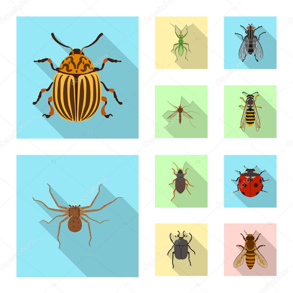 Objeto aislado de insecto y signo de mosca. Colección de insectos y ...