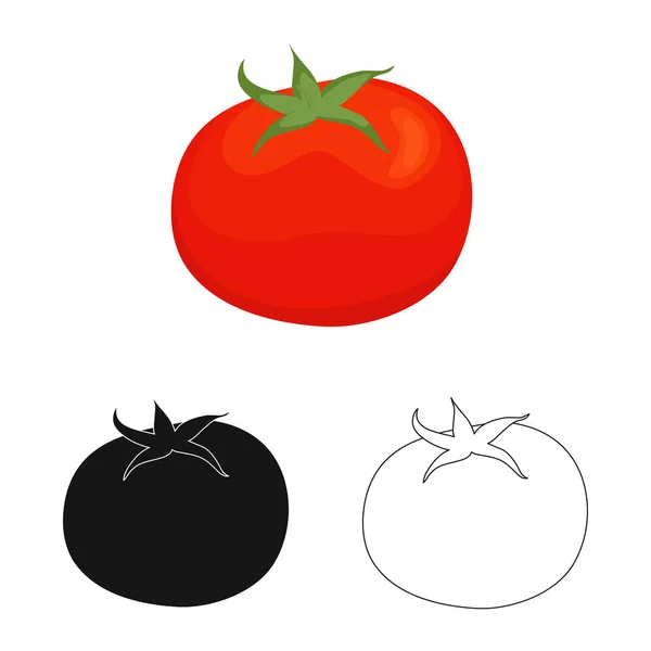 100,000 Desenho fases tomate Vector Images | Depositphotos