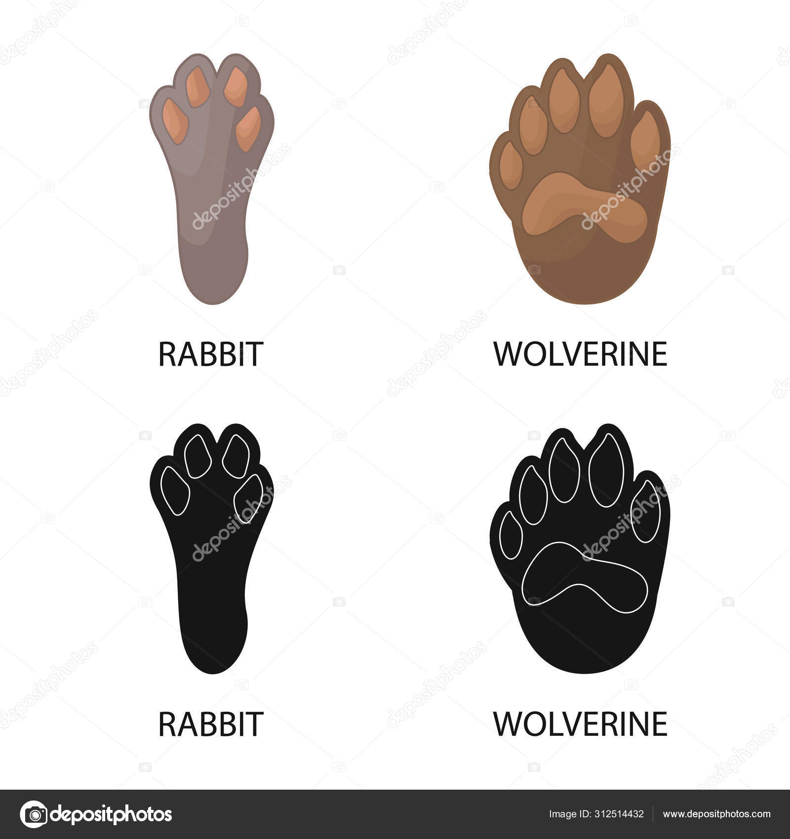 Isolated object of step and walk sign. Collection of step and fauna ...