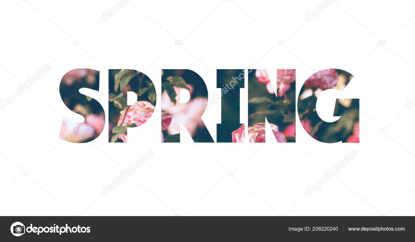 Word Spring Natural Background Pictures Double Exposure Isolated White ...