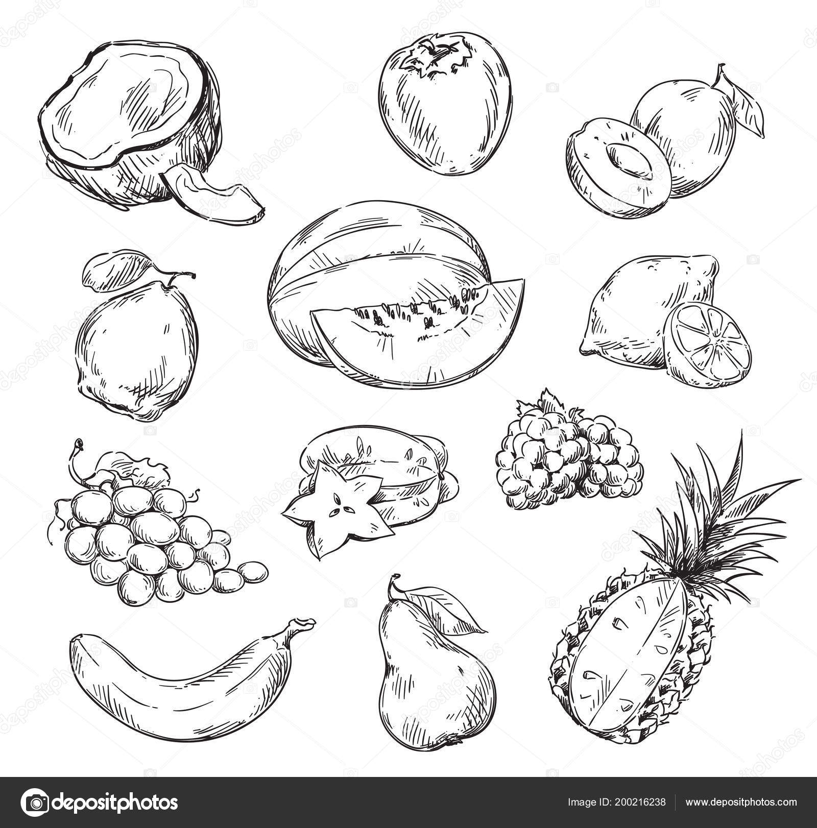 Dibujo Vectorial Varios Frutos Vector de stock #200216238 de ©kamenuka