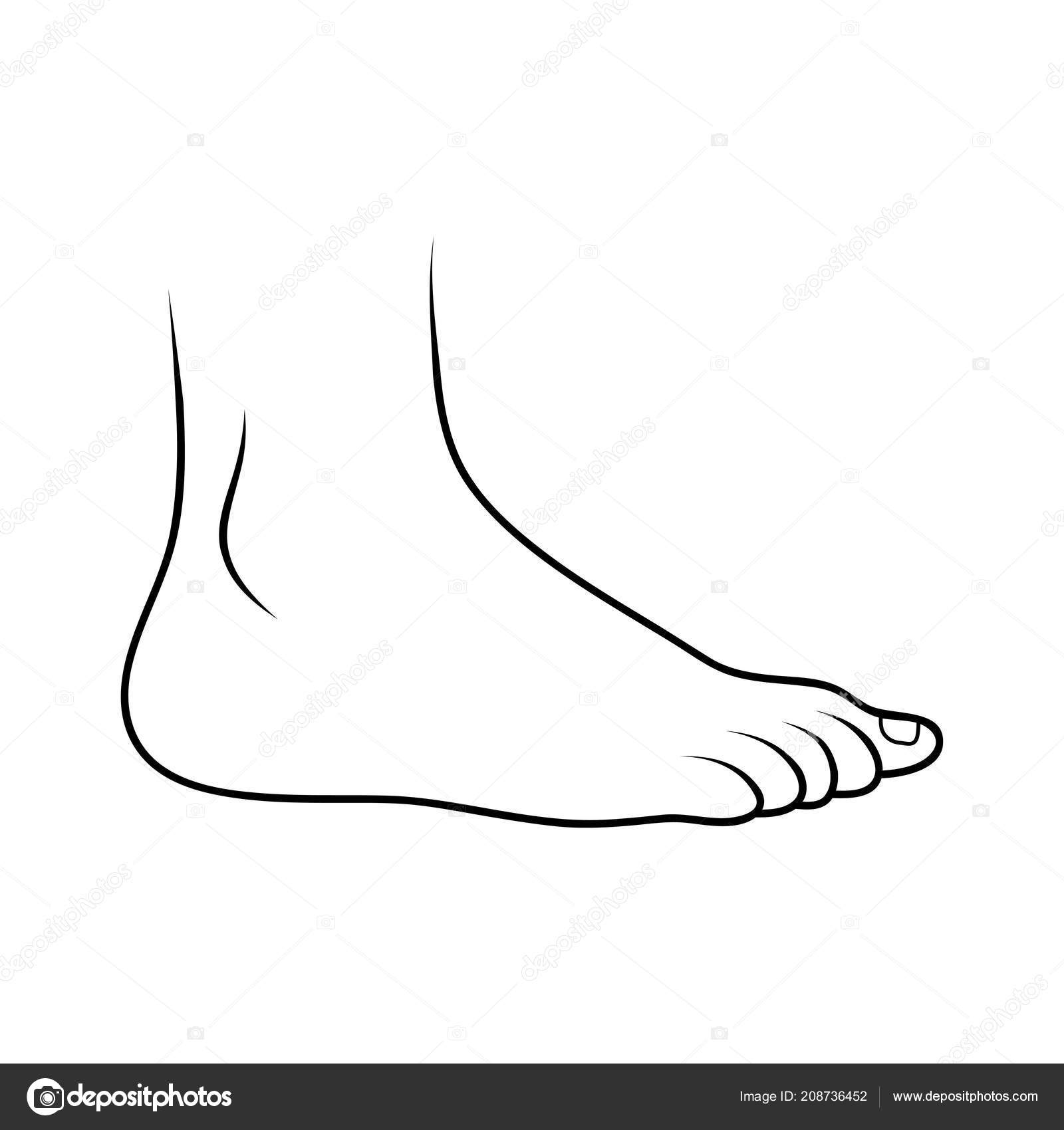 Foot Icon Outline Design Isolated White Backgroun Stock Vector Image by ...