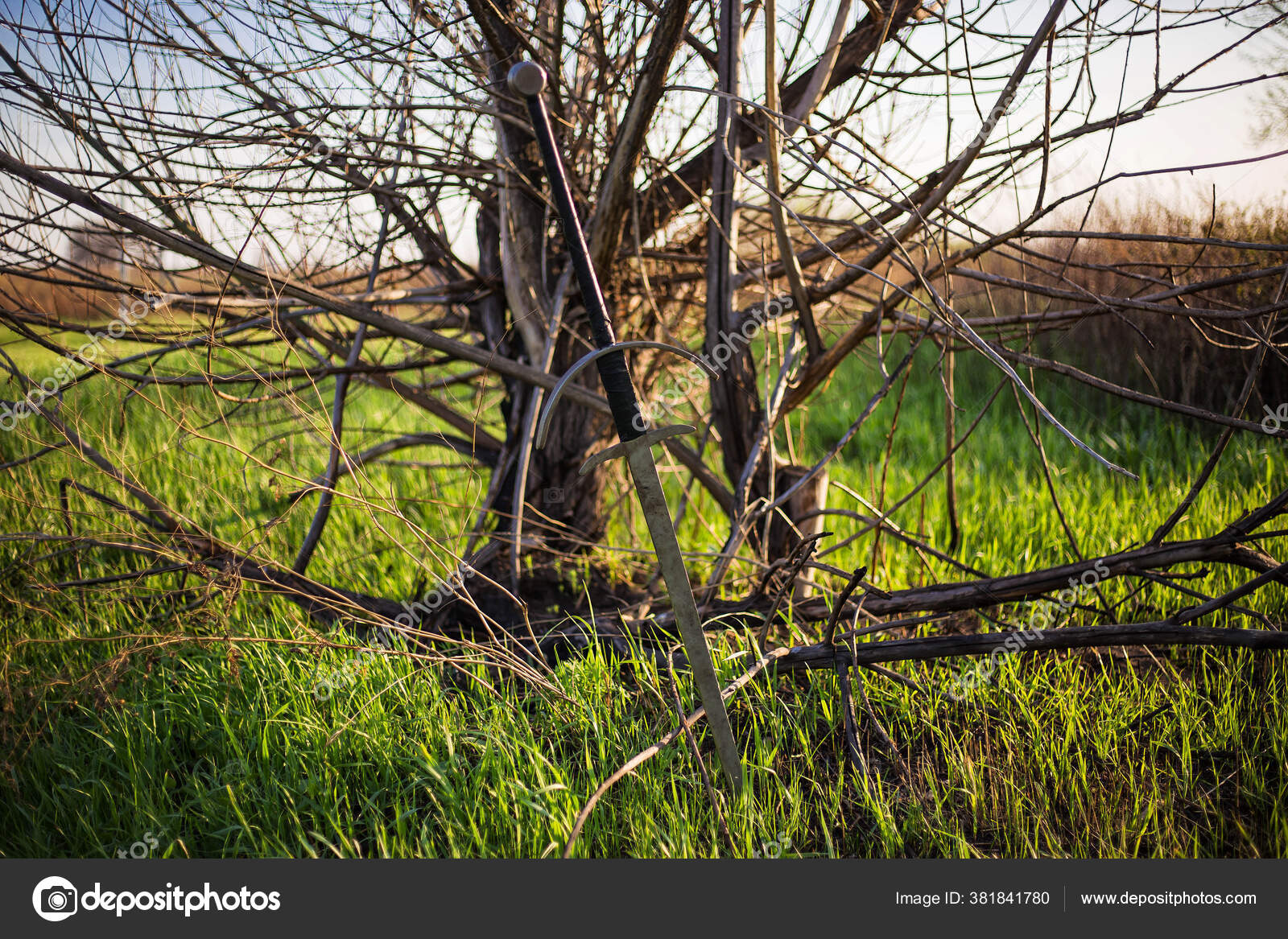 Two Handed Sword Ground Background Green Field Sky Trees Lost Stock ...