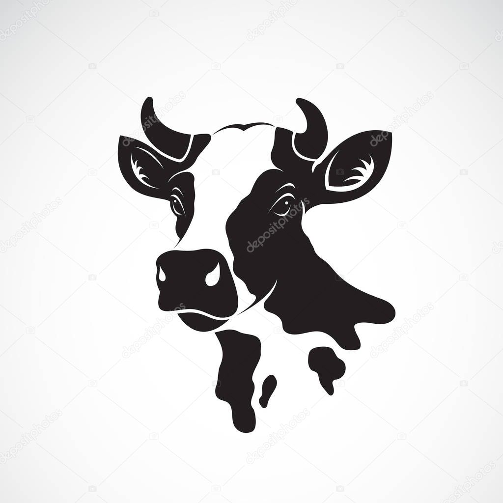 Vector de diseño de cabeza de vaca sobre fondo blanco, animal de granja ...
