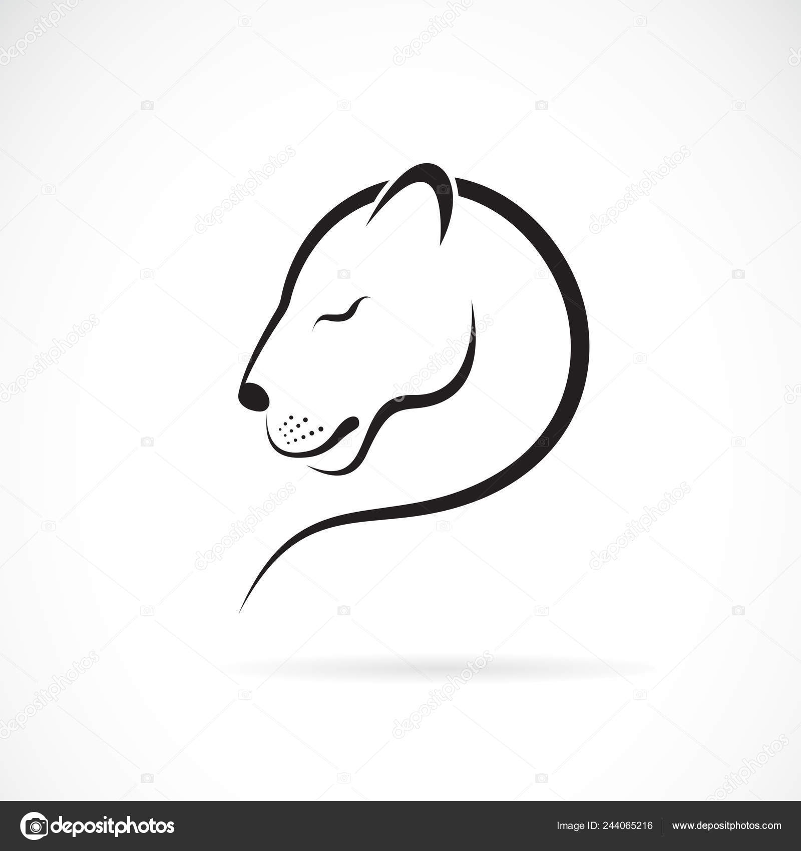 Vector Female Lion Design White Background Wild Animals Female Lion ...