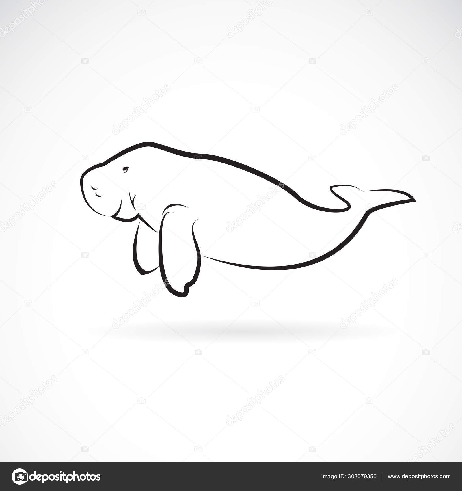 Vector of dugong design on white background. Wild Animals. Easy Stock ...