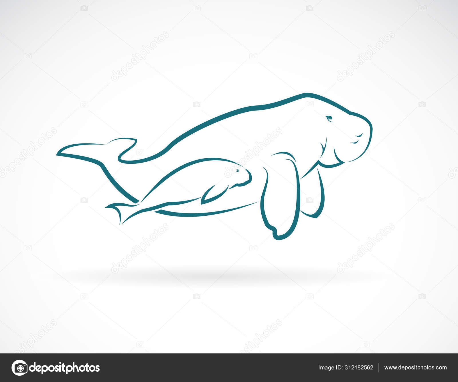 Vector of dugong mother and dugong child on white background. Stock ...
